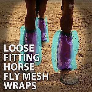 CareMaster Universal Size Horse Leggings Fine Mesh Horse Fly Boots Greatly Reduce Stomping Breathable Horse Boots Leg Wraps (Set of 4) Purple