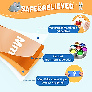 Flashcards Learning Toys for Toddlers 1-6 Years, Educational Toys for Preschool Learning Colors Shapes Numbers Animals Alphabet Flashcards for Kids Christmas Stocking Stuffers Gifts