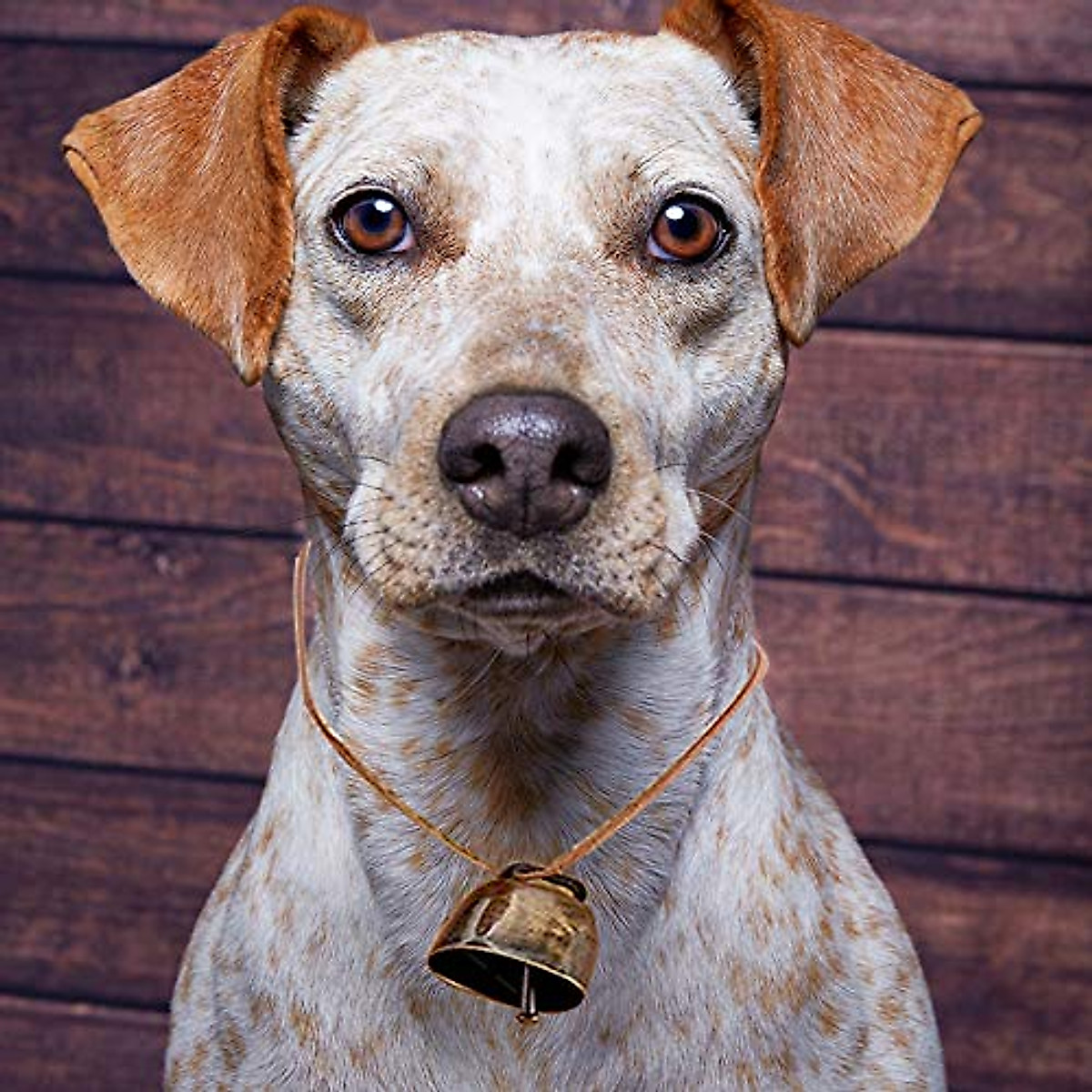 5 Pack Grazing Copper Bells, Metal Cow Bells for Dogs, Animal Copper Loud Bronze Bell, Small Brass Bell, for Cow Horse Sheep Cats Small Pets Anti-Theft Accessories (Bronze)