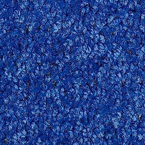 Event Carpet Aisle Runner - Quality Plush Pile Rug with Backing, Binding in Various Sizes (3 X 30 ft, Bright Royal Blue)