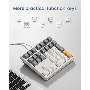 FJÄDRAR Mechanical Number Pad, 34 Key Hot Swappable Numpad with Gateron Brown Switches, USB Wired Numeric Keypad with PBT Keycaps White Backlit Number Pad for Laptop, MacBook,PC Desktop