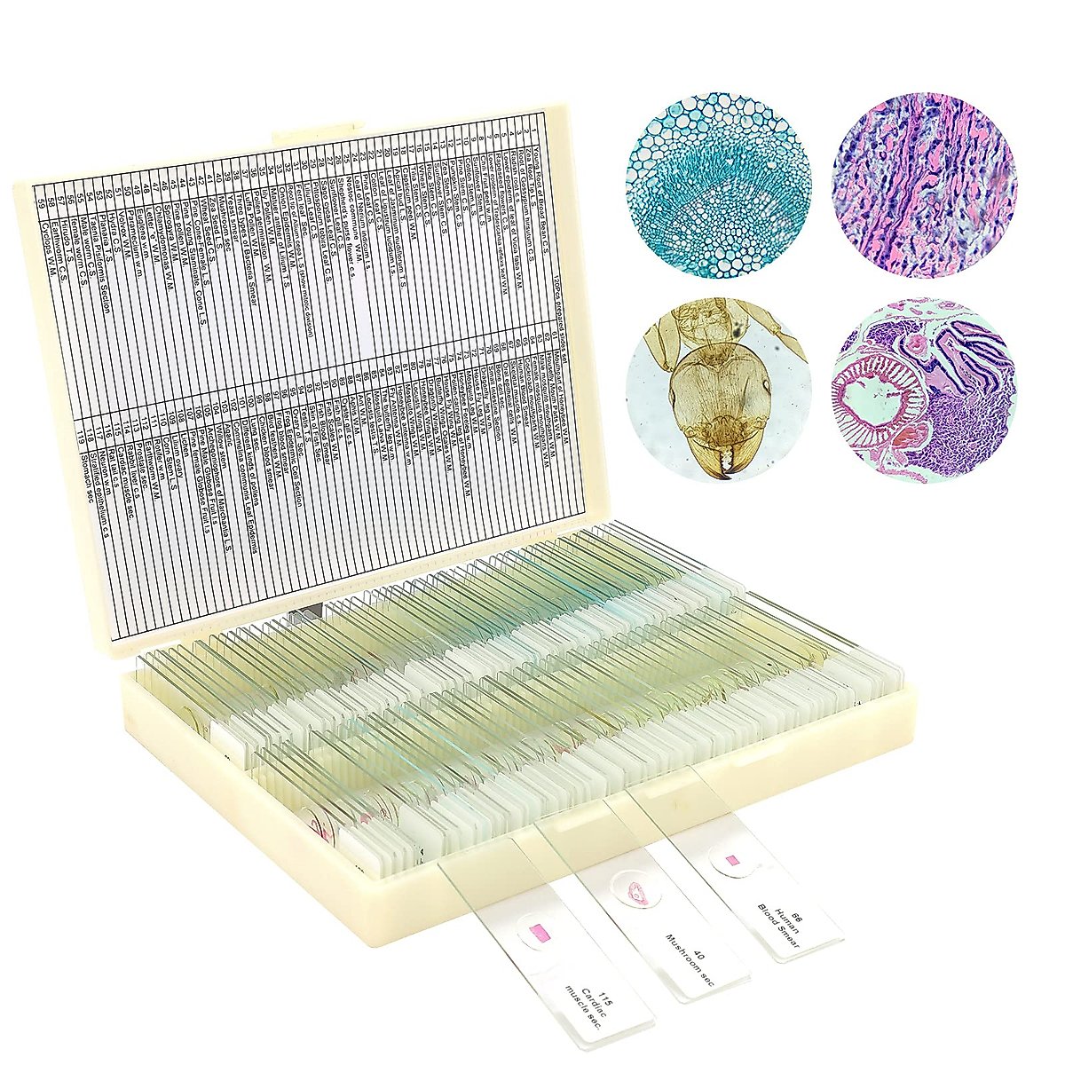 120+60 Microscope Slides with Specimens, Prepared Microscope Slides for Microbiology, Prepared Microscope Slides for Adults/Kids