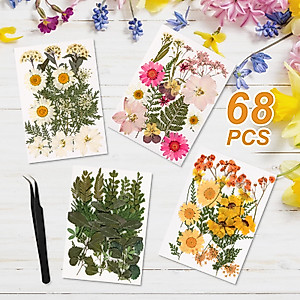 Double Glass Frame for Pressed Flowers - w/Real Dried Flowers and Tweezer for Handicrafts, Photo, or Other Small Flat Items