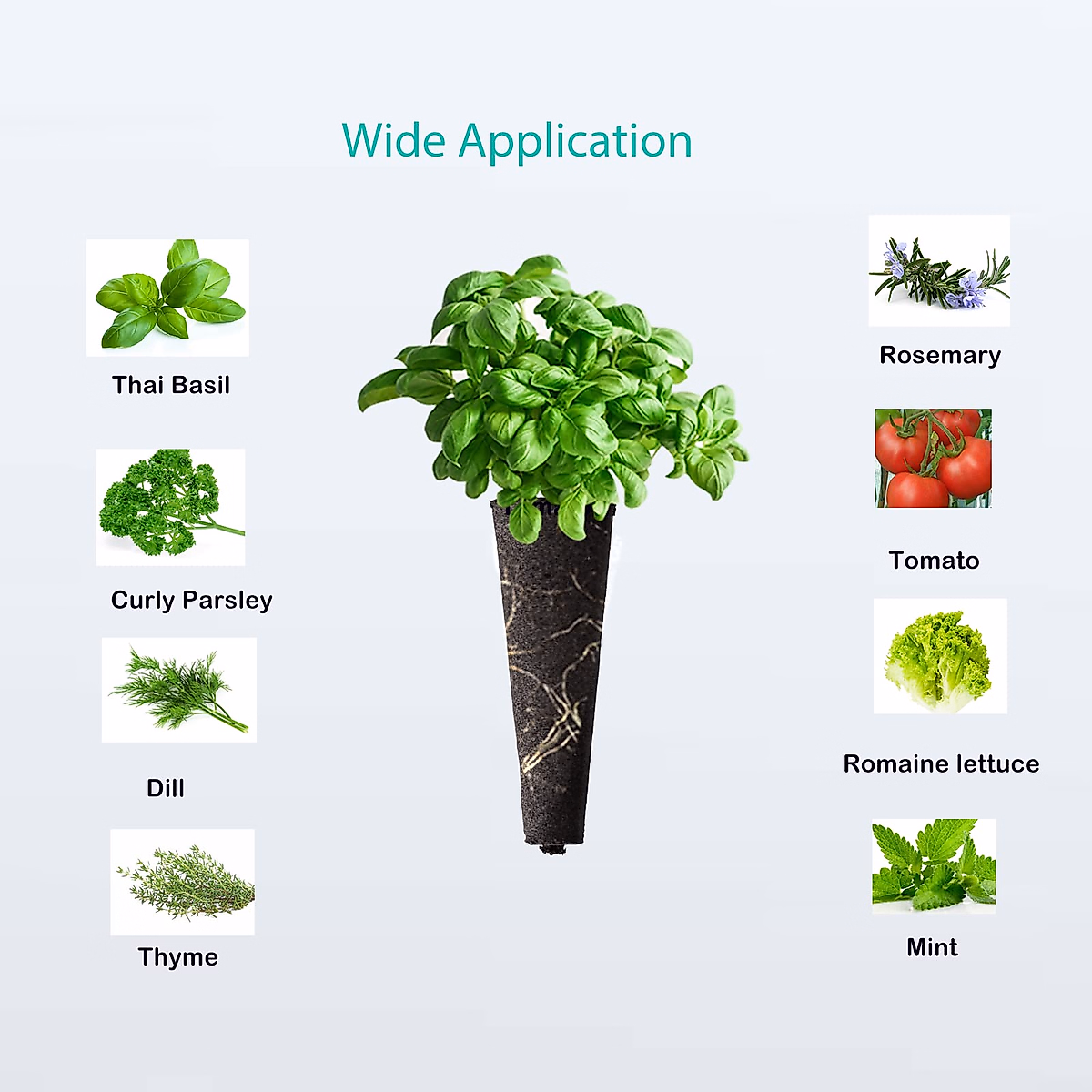 Reetsing 80 Pack Hydroponics Sponge,Replacementpre-Grow Sponges,Hydroponics Growing System Kit Compatible with Aerogarden sponges,Supplement pods for hydroponic Indoor Garden Growing System