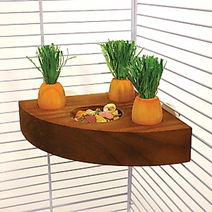 Carrot Toy 'n' Treat Holder - Hamster & Small Animal Toy