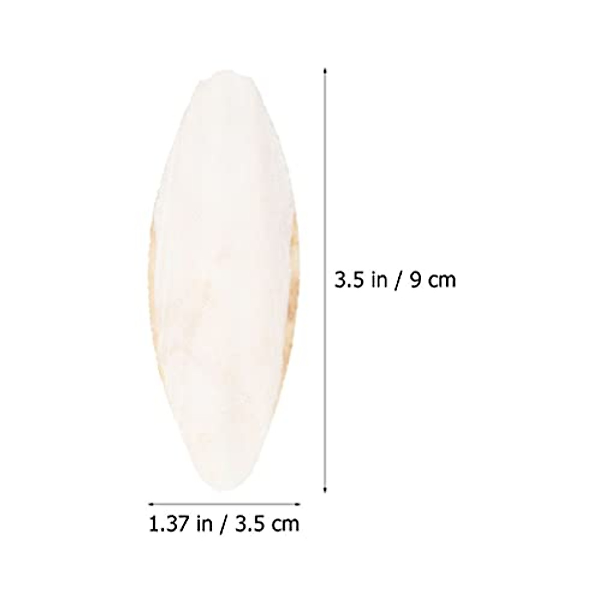 EXCEART 30pcs Bird Cuttlebone Natural Cuddle Bone Bird Beak Stone Beak Grinder Parrot Chew Toys Molar Toy for Parakeets Cockatiel Macaw