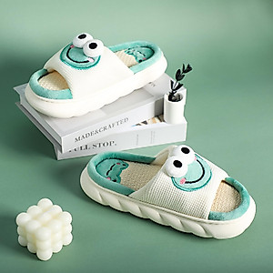 Gaolinci Cartoon Animal Shape Slippers, Womens Four Seasons Home Linen Slippers (Frog-US 8-9)