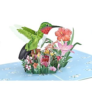 Hummingbird Pop Up Card, Birthday Card, Mother's Day Card, Summer Card, Thinking of You, Bird Lovers