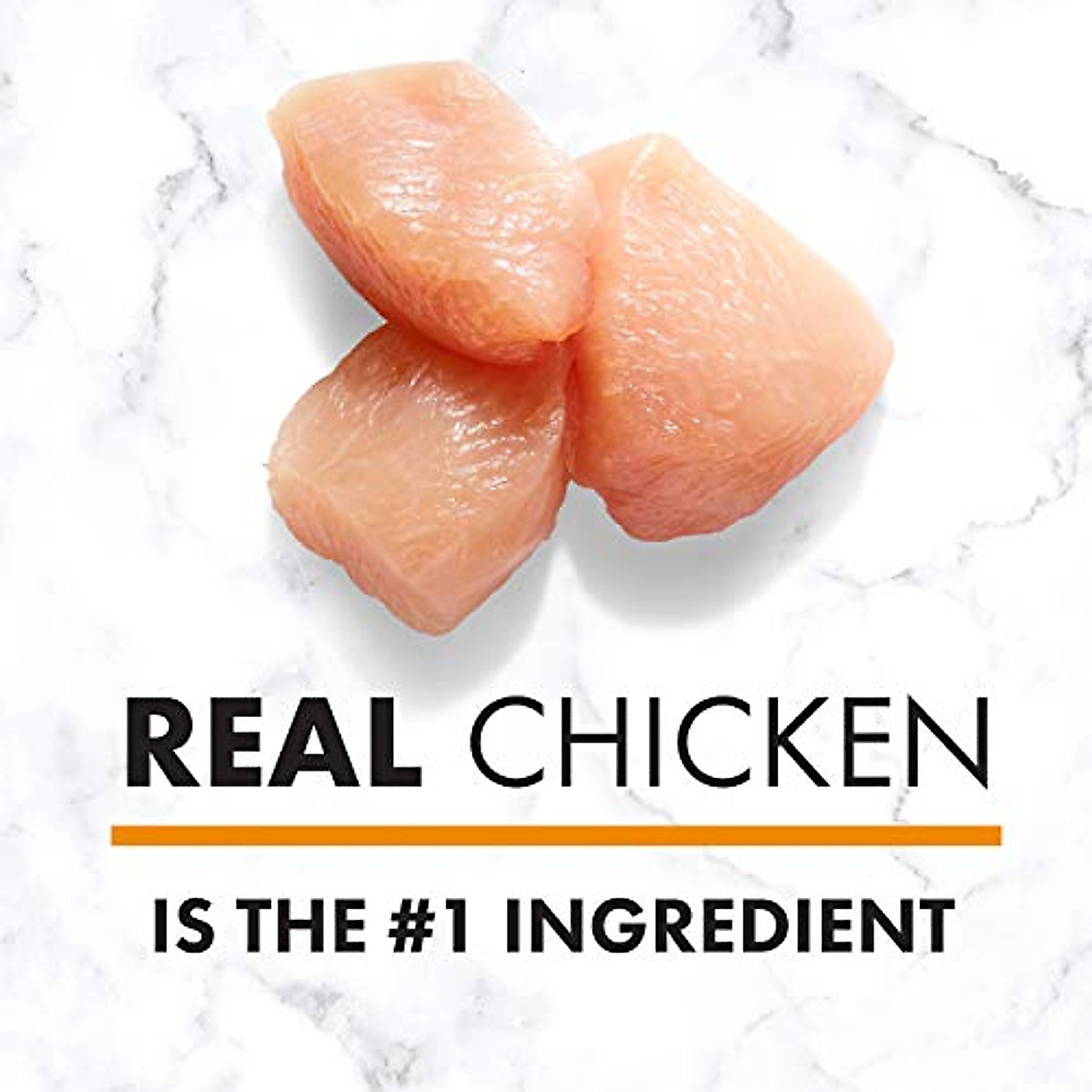 NUTRO NATURAL CHOICE Puppy Dry Dog Food, Chicken & Brown Rice Recipe Dog Kibble, 13 lb. Bag