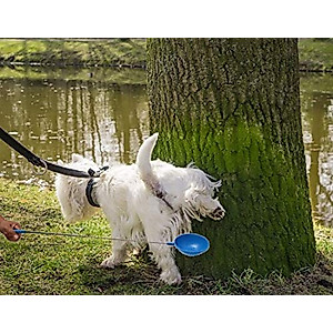 PawCheck P-Scoop Dog Urine Collector - Reusable and Telescopic Dog Urine Catcher extends to 29"