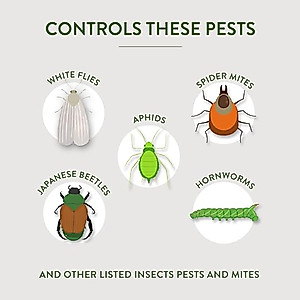 Garden Safe Brand Fungicide Concentrate, 20 Ounces, With Neem Oil Extract To Control Black Spot, Rust, Powdery Mildew, Aphids, Spider Mites, Whiteflies ,Houseplants, Fruits And Vegetables