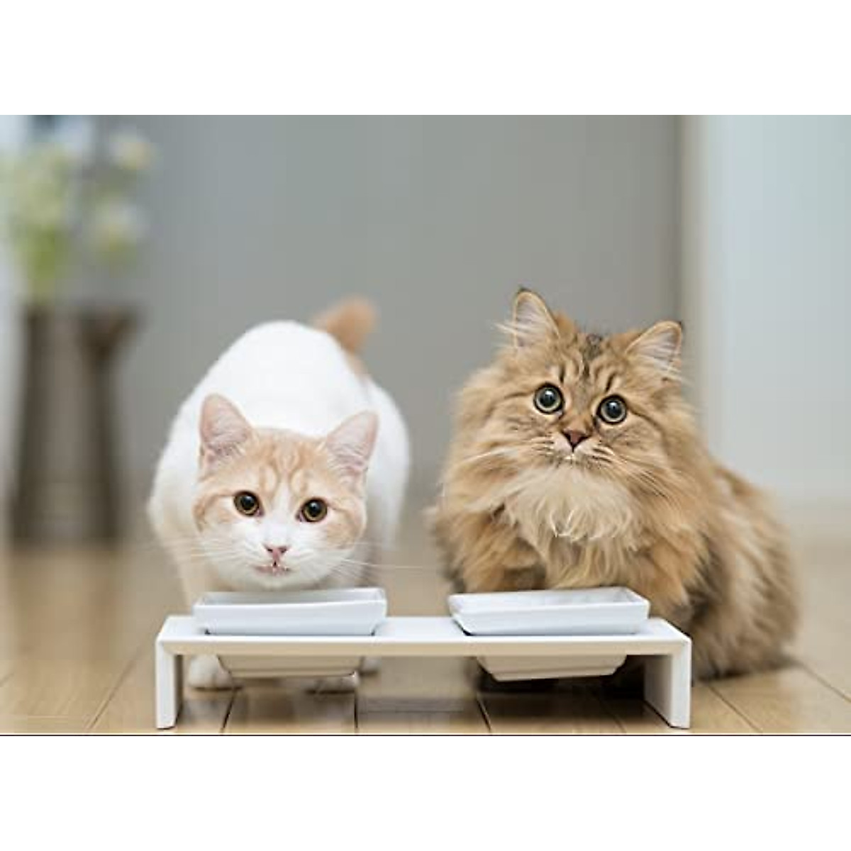 Fancy Feast Broths for Cats Variety Pack Bundle / 12 Pouches Total /2 Cat Nip Mouse Toys & Your Lifestyle Merchant Measuring Spoon