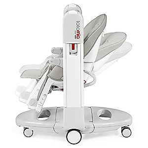 Peg Perego Tatamia 3 in 1-Recliner-Swing and High Chair, Ice