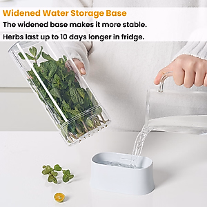 vacane Herb Keeper for Refrigerator, Fresh Herb Saver Herb Storage Containers, Cilantro Container for Fridge Asparagus Container, Dishwasher Safe