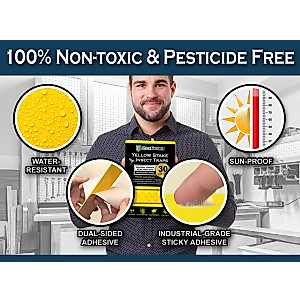 MAXGUARD (30 Pack) Yellow Stake Sticky Insect/Bug Traps - Catch and Kill Fungus Gnats, Whiteflies, Mosquitos, Aphids, Leaf Miners, Flying Insect Catcher Glue Trappers for Indoor or Outdoor