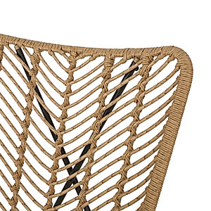 Christopher Knight Home 317577 Galtin Accent Chair, Light Brown + Black