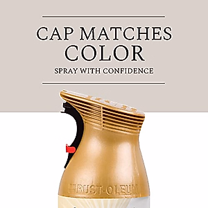 Rust-Oleum 342918 Universal All Surface Aged Metallic Spray Paint, 11 oz, Vintage Gold