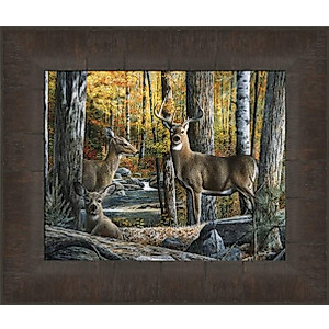 Home Cabin Décor Broken Silence II by Kevin Daniel 11x13 Deer Buck Doe Autumn Leaves Framed Art Print Picture