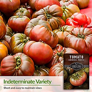 Survival Garden Seeds - Cherokee Purple Tomato Seed for Planting - Packet with Instructions to Plant and Grow Large Delicious Slicing Tomatoes in Your Home Vegetable Garden - Non-GMO Heirloom Variety