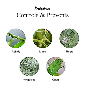 Arber Bio Insecticide | Organic Insect & Mite Control for Plants | Indoor & Outdoor | Natural Gardening Solution | Spider Mite, Aphid & Mealybug Killer | Liquid Concentrate | Makes Over 15 Gallons