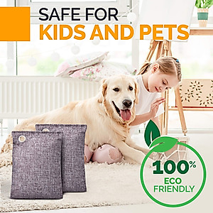 Bamboo Charcoal Bags Odor Absorber 10x100g w Hooks. Nature Fresh Bamboo Charcoal Air Purifying Bags Activated Charcoal Odor Absorbers for Home, Charcoal Deodorizer Bags and Shoe Closet Odor Eliminator