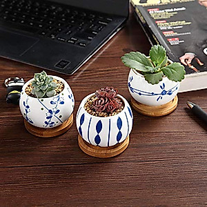 T4U 2.5 Inch Ceramic Succulent Planter Pot with Bamboo Saucer Set of 3, Cactus Plant Pot Flower Pot Container Planter Gift for Home Office Indoor Decoration Blue and White Pots