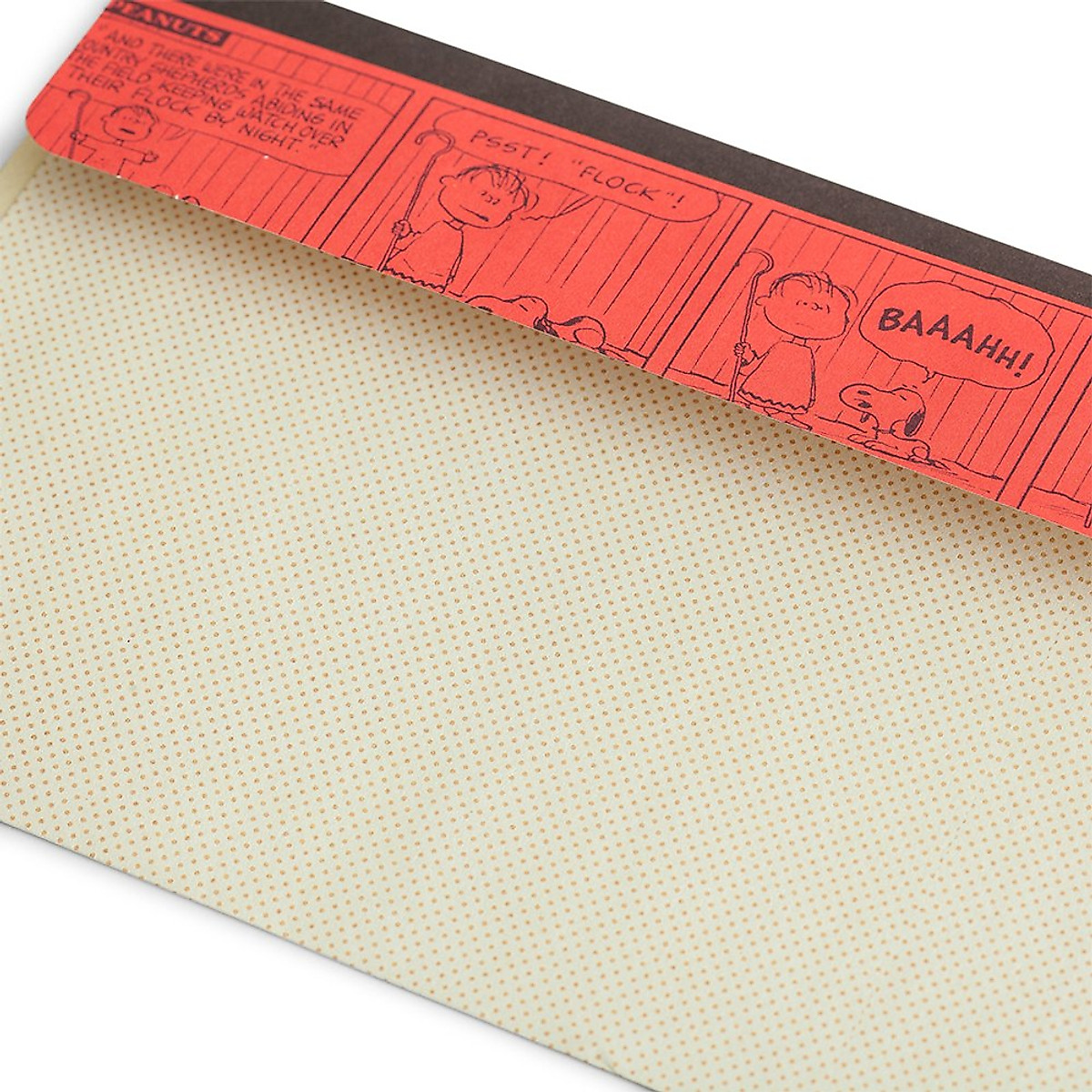 DaySpring - Peanuts That's What Christmas is All About Charlie Brown - 18 Premium Christmas Boxed Cards, KJV