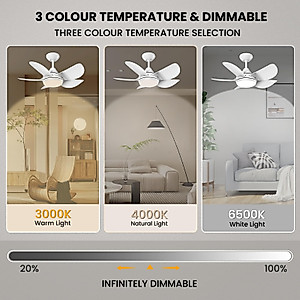 CJOY Ceiling Fans with Lights, 30 inch Small White Ceiling Fan with Light and Remote, LED Dimmable & Memory Function, 5 ABS Reversible Blades Fan Light for Kids Bedroom/Sloped Ceilings