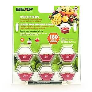 BEAPCO 10036 7 Red 6-Pack Premium Fruit Fly 6 Pre-Filled Trap Flies Indoors | Easy Effective and Safe to Use | Food-Based Lure/Bait Catcher