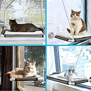 Cat Window Perch, Cat Hammock Window Seat w/Free Fleece Blanket 2023 Latest Screw Suction Cups Extra Large Sturdy Cat Bed Cat Resting Seat Hold Two Large Cats White Indoors (One Extra Suction Cup)