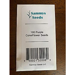 100 Purple Coneflower Seeds | Non-GMO | Fresh Garden Seeds