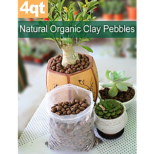 4qt Hydroponic Clay Pebbles, 8mm-12mm, Toypopor Natural Organic Expanded Grow Media for Hydroponics, Drainage, Decoration, Aquaponics and Other Gardening Essentials