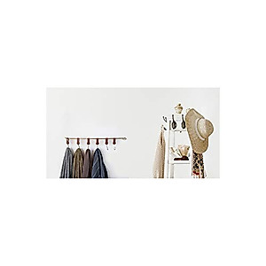 Creative Co-Op Metal & Leather 6 Hooks Wall Décor, Brown and Gold