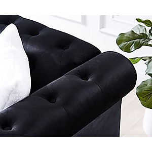 Melpomene Black Velvet Living Room Loveseat Sofa with Button Tufted Nailhead and 2 White Villose Cushions (2 seat)