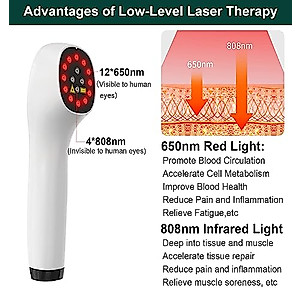 iKeener Handheld Red Light Therapy for Dogs,Portable LLLT Vet Device for Dogs and Pets, 650nm & 808nm Infrared Therapy for Pain Relief,Itching Skin & Wound Care in Dogs, Cats, Horses