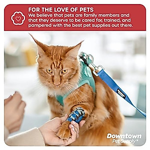 Cohesive Vet Wrap for Dogs, Self Adhesive Bandages in Bulk, Pet Cat Wound Care, Gauss Bandage for Horses by Downtown Pet Supply (Rainbow Camo, 10 Pack)