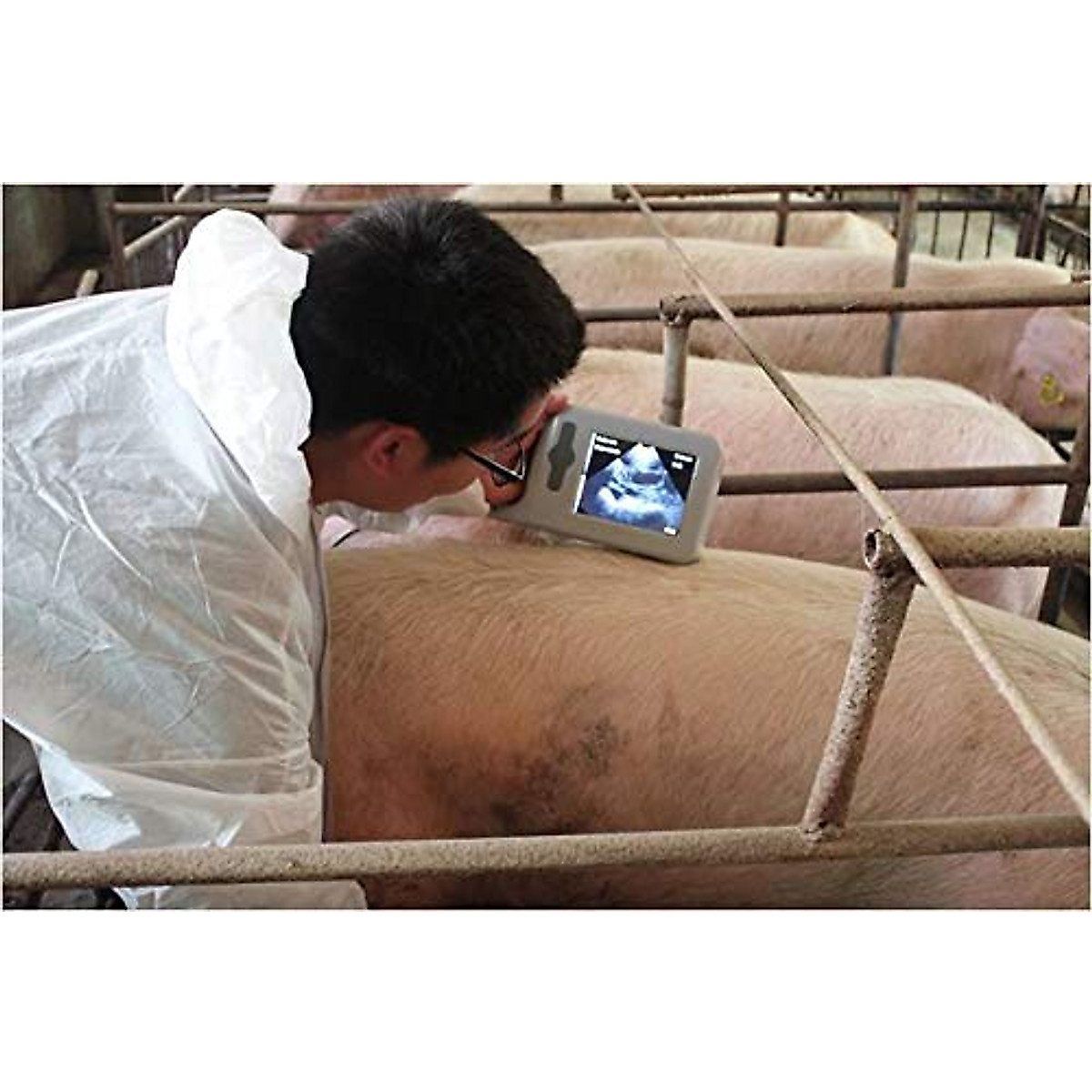 MLSJM Ultrasound Scanner,Pig Veterinary Ultrasound Scanner Machine Kit,Veterinary Farm Animals for Pig Pregnancy, Rechargeable Smart B-Ultrasound Handscan