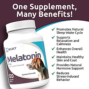 K9 Select Melatonin for Dogs - Calming Chews - Dog Melatonin for Sleep - Reduce Stress, Helps Composure Calming Treats for Large Dogs - 6 mg, 120 Peanut Butter Flavored Chewable Tablets