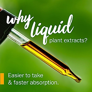 Herb Pharm Certified Organic Lemon Balm Liquid Extract for Calming Nervous System Support, Alcohol-Free Glycerite, 1 Oz