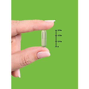 Echinacea Extract Capsules | 1300mg | 100 Count | Non-GMO & Gluten Free | by Nature's Truth