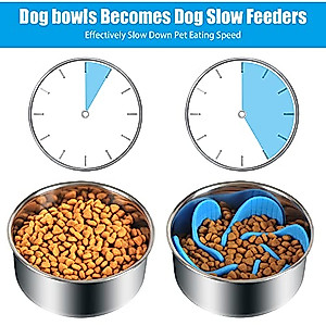 Slow Feeder Dog Bowls Insert, Dog Slow Feeder Bowl with Strong Suction Cups for Medium Small Size Dog, Compatible with Regular Bowls to Slow Down Eating