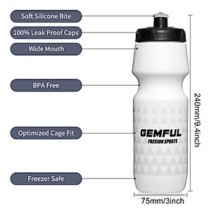 GEMFUL Water Bottle Biking BPA Free 24 Ounce 2 Pack
