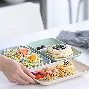Roucerlin 4 Colors Big Rectangular Dinner Plates, Unbreakable Wheat Straw Plates, Reusable Durable Lightweight Salad Plate for Fruits, Snack, Pasta, Cake, Dessert, Dishes (9.3in)