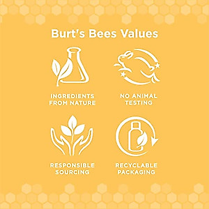 Burt's Bees for Dogs Tartar Control Toothpaste for Dogs with Grapefruit Seed Extract & Dog Toothbrush | 99.5% Natural Dog Toothpaste for Tartar Control in Mixed Berry & Bamboo Dog Toothbrush