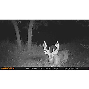 Muddy Morph outdoor AT&T Cellular Trail Camera 26MP, 1080p