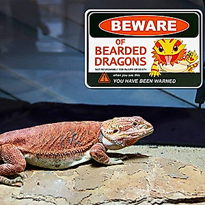 LSTAMOY Bearded Dragons Sign, Bearded Dragon Tank Accessories, Cute Bearded Dragon Decor for cage Bed Food Leash Costume Clothes Toys Gifts - 8 * 12inch-Aluminum