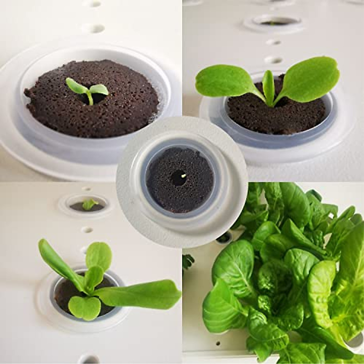 lukandafi Grow Sponges 100 Pack, Hydroponics Sponge Compatible with Aerogarden, iDOO