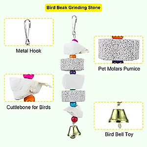 Litewoo Parrot Bird Chew Toys 2-Pcs, Bird Beak Trim Cuttlebone Calcium Stone Lava Block Chew Toy with Bell for Parakeet Conure Lovebird Cockatiel Finch Budgie Parrots