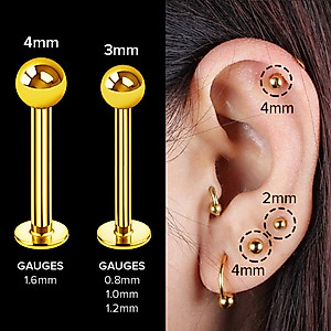 Evonix 7pc 16g 10mm Labret Studs Lip Ring Snake Spider Bite Forward Helix Monroe Dahlia Inner Conch Surgical Steel Rainbow 4mm Ball