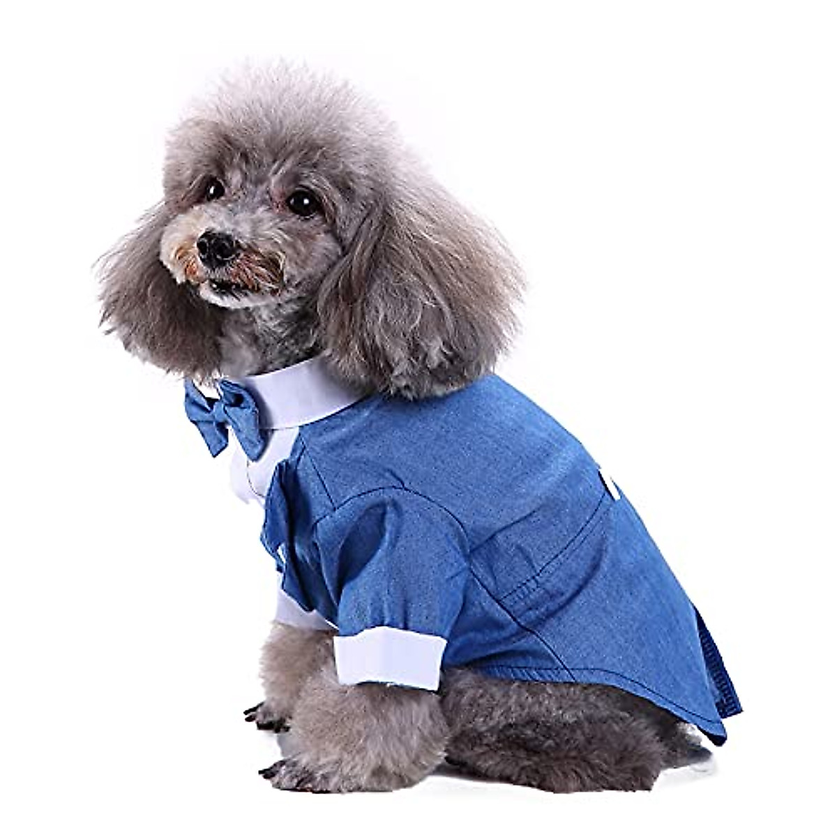 Dog Blue Tuxedo, Dog Formal Clothes, Puppy Wedding Tux, Small Dog Suit and Tie, Business Suit for Dog Blue Large